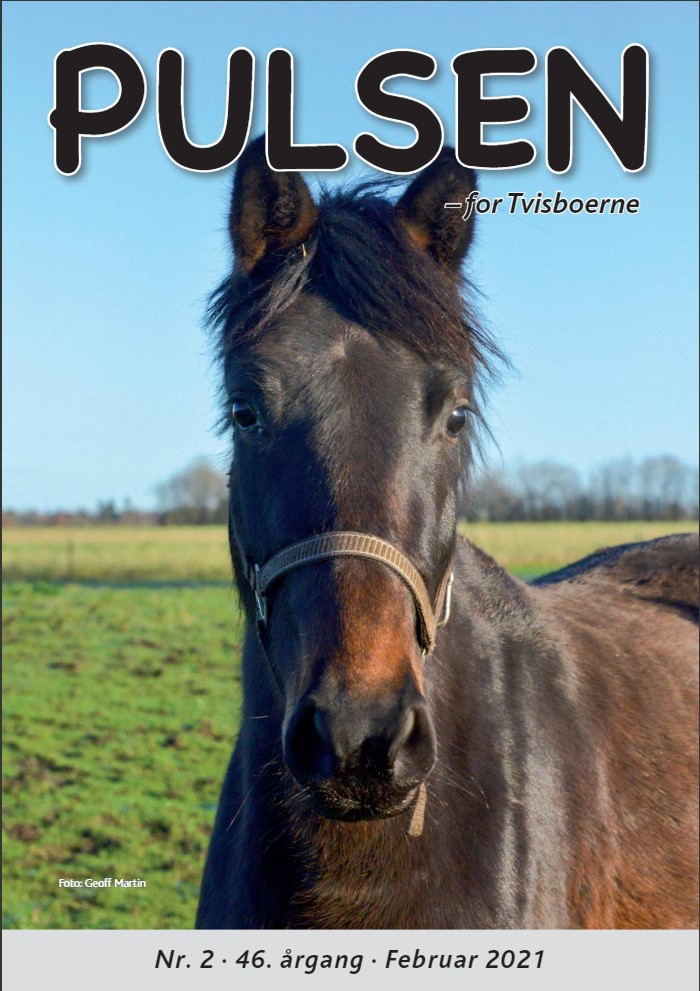 Pulsen for februar er online | Tvisby.dk - Lokalhistorie